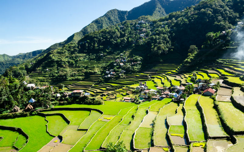 8 Most Breathtaking Rice Terraces In Asia